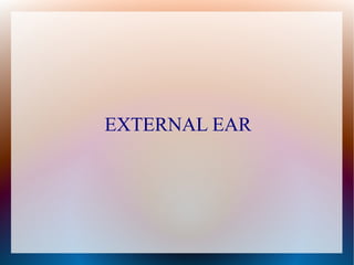 Anatomy of the external and middle ear | PPT