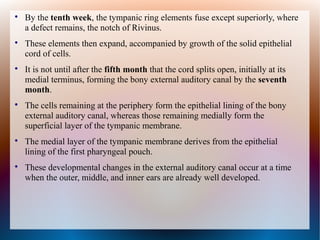 Anatomy of the external and middle ear | PPT