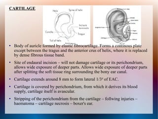 Anatomy of the external and middle ear | PPT
