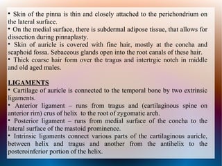 Anatomy of the external and middle ear | PPT
