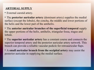Anatomy of the external and middle ear | PPT