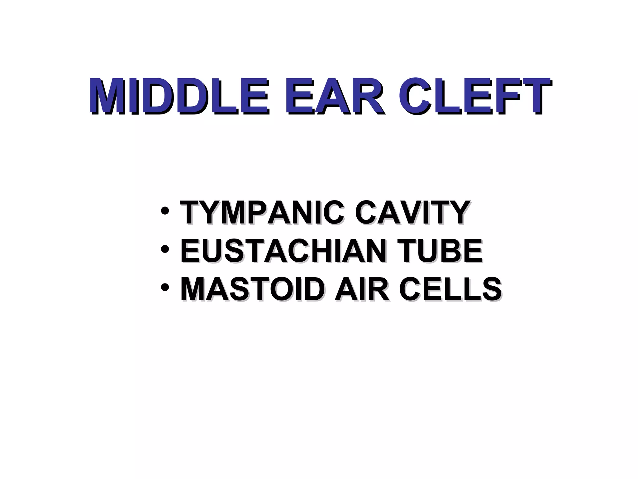 Anatomy of the external and middle ear | PPT