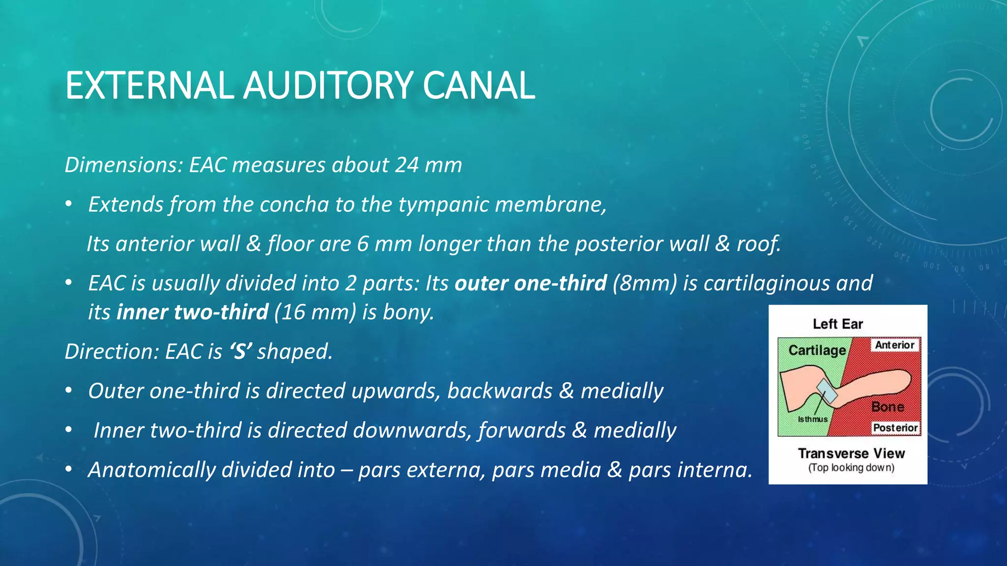 Anatomy of the external and middle ear | PPTX