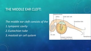 Anatomy of the external and middle ear | PPTX