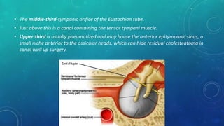 Anatomy of the external and middle ear | PPTX