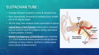 Anatomy of the external and middle ear | PPTX