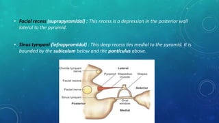 Anatomy of the external and middle ear | PPTX