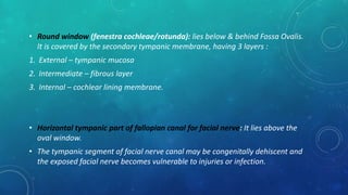 Anatomy of the external and middle ear | PPTX