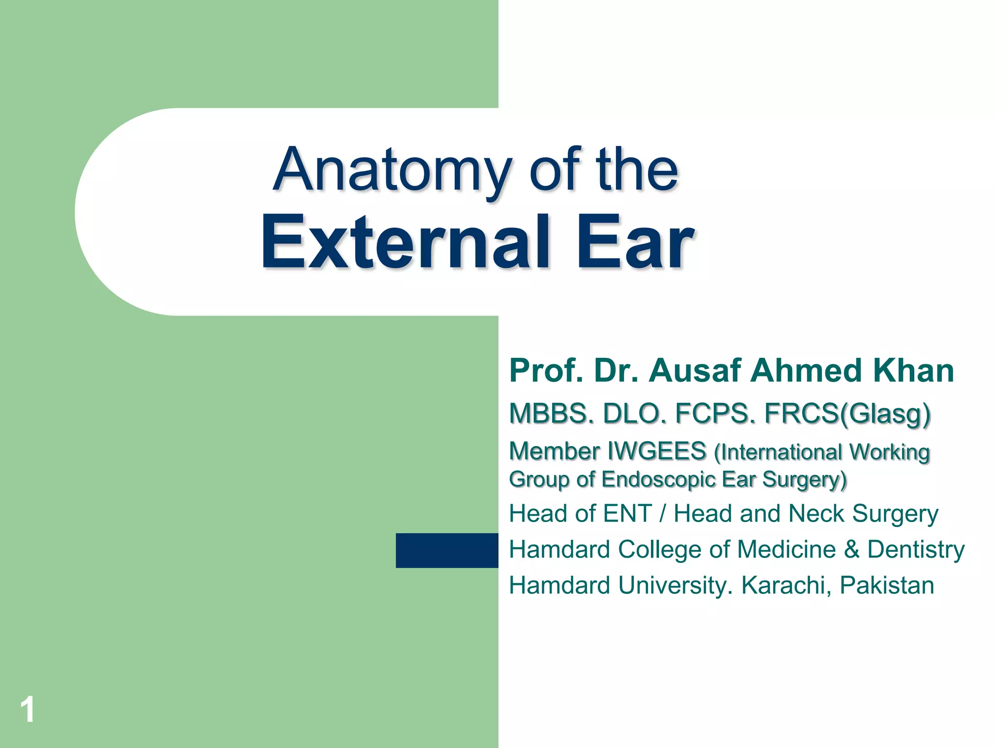 Anatomy of the external ear | PPT