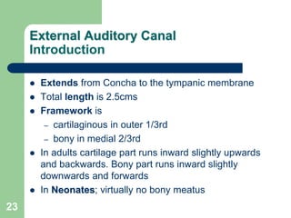 Anatomy of the external ear | PPT