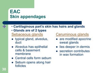 Anatomy of the external ear | PPT
