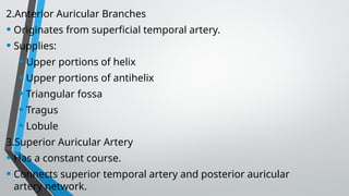 ANATOMY OF THE EXTERNAL EAR.pptx . | PPTX