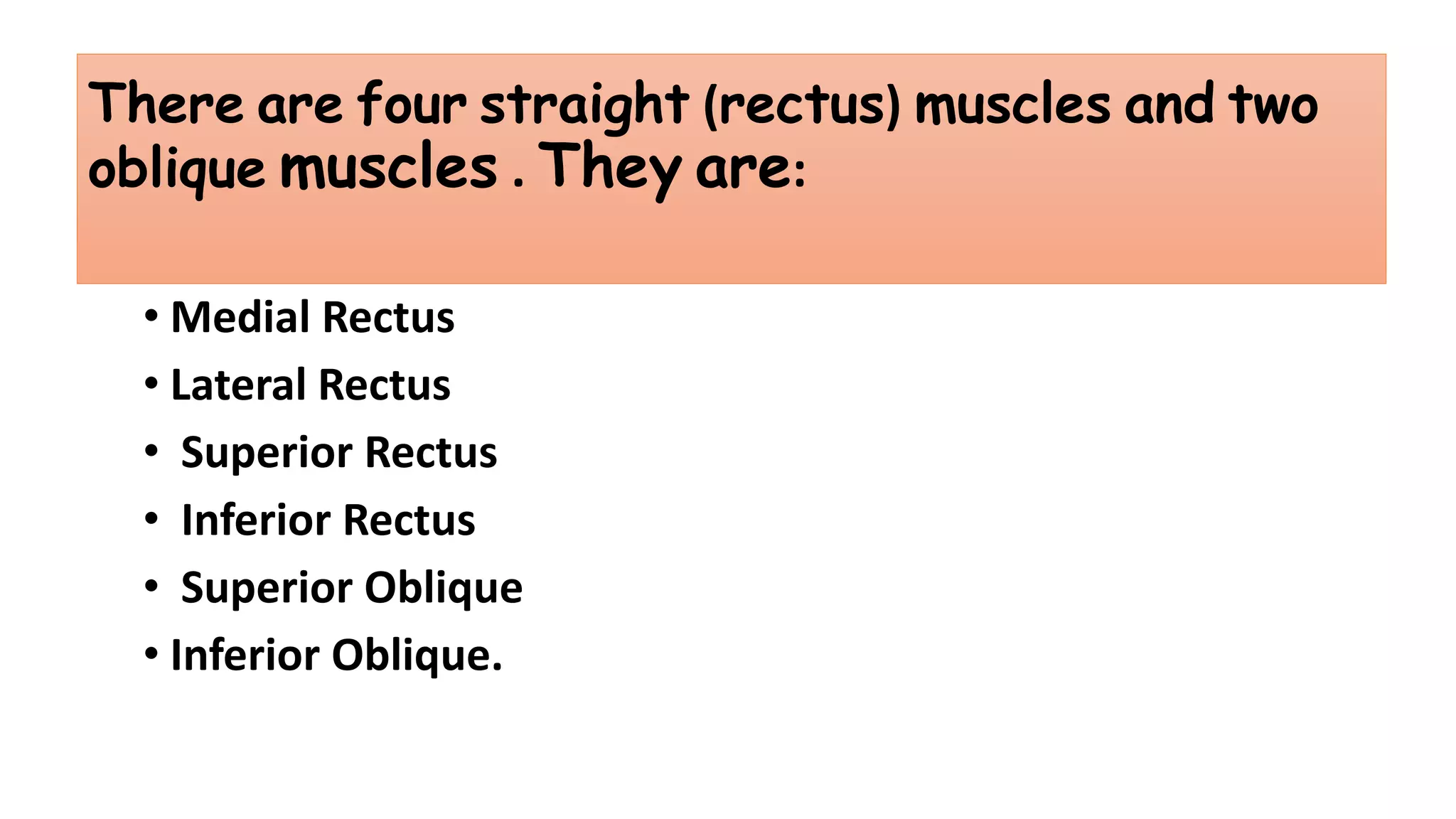 Anatomy of the extraocular muscles of eye | PPTX