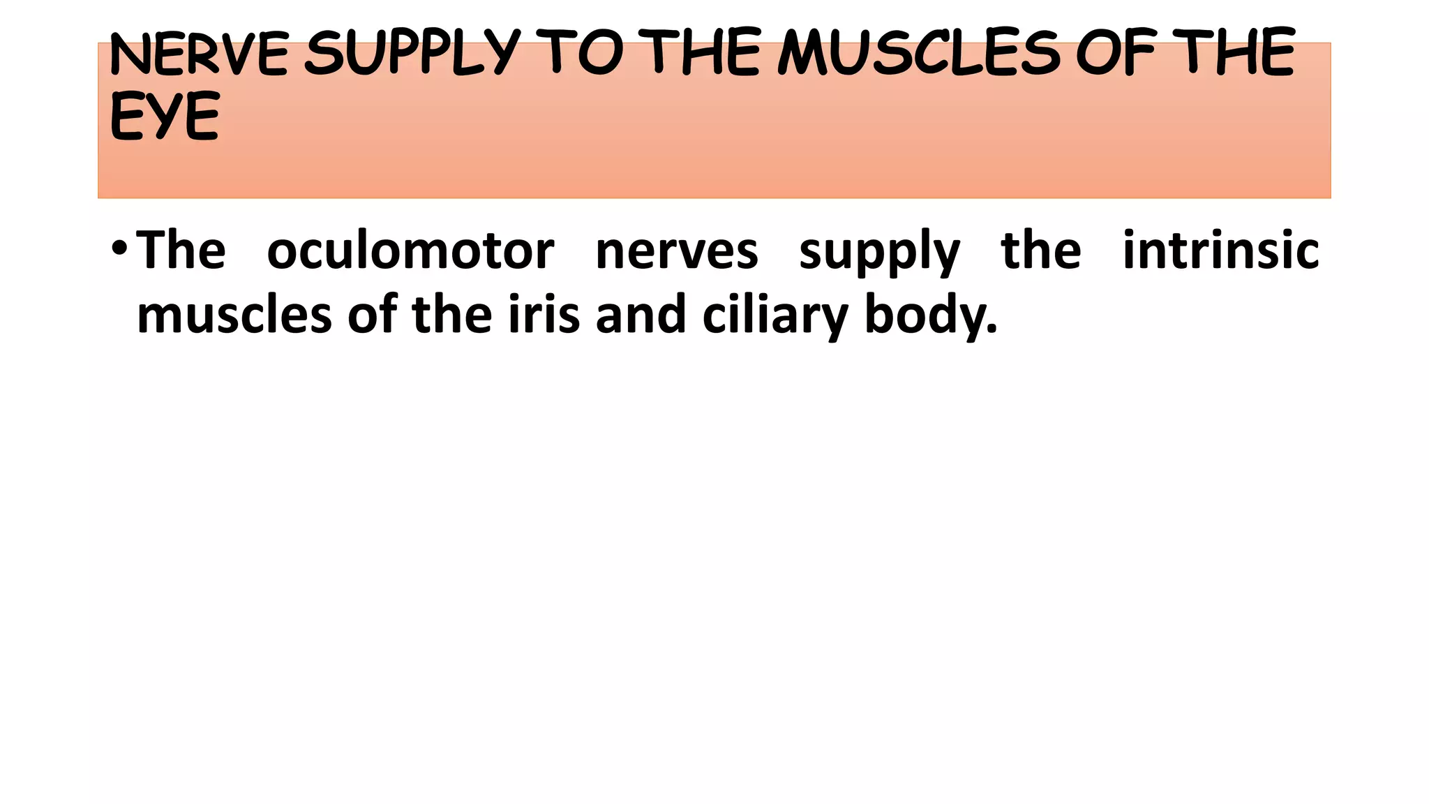 Anatomy of the extraocular muscles of eye | PPTX