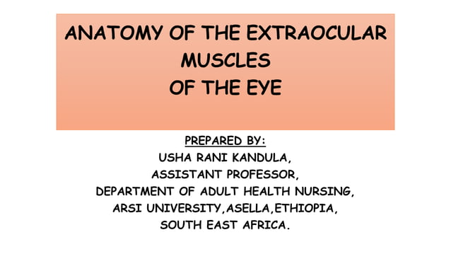 Anatomy of the extraocular muscles of eye | PPTX | Eye and Vision ...