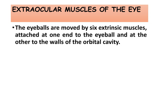 Anatomy of the extraocular muscles of eye | PPTX | Eye and Vision ...