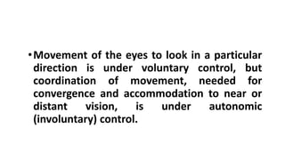 Anatomy of the extraocular muscles of eye | PPTX