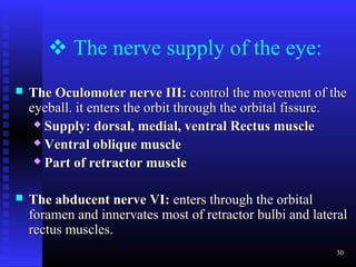 Anatomy of the eye | PPT
