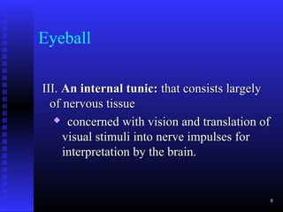 Anatomy of the eye | PPT