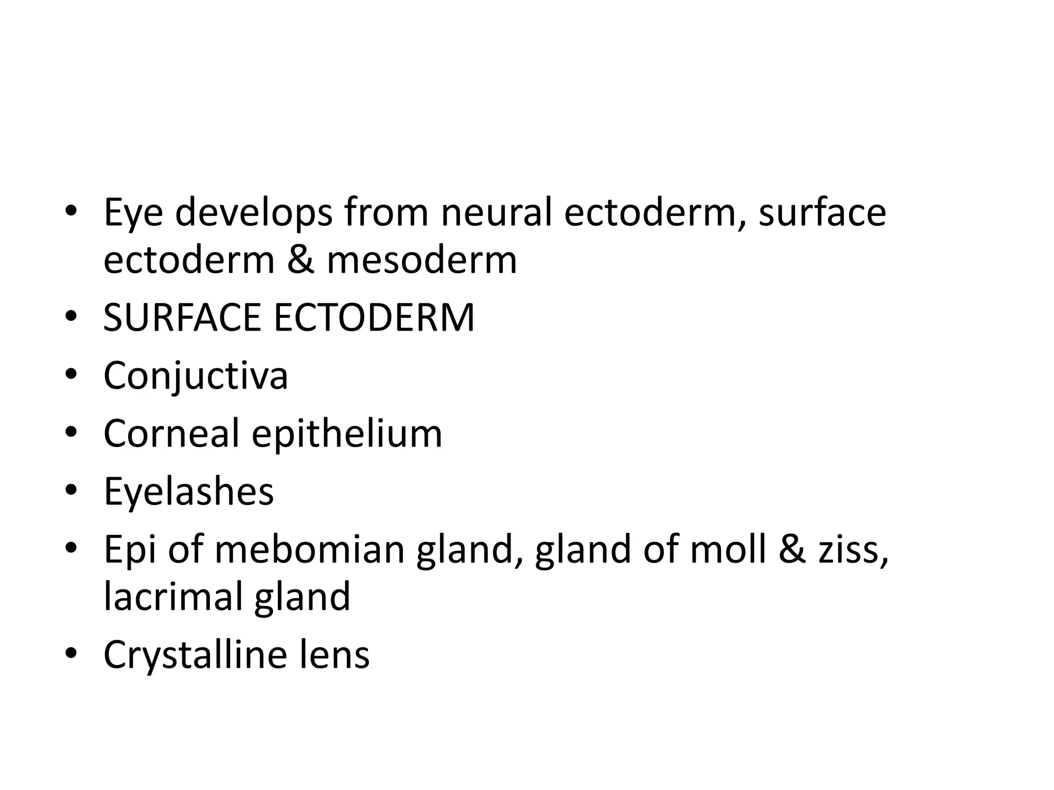OPHTHALMOLOGY TOPIC ANATOMY OF THE HUMAN EYE.pptx