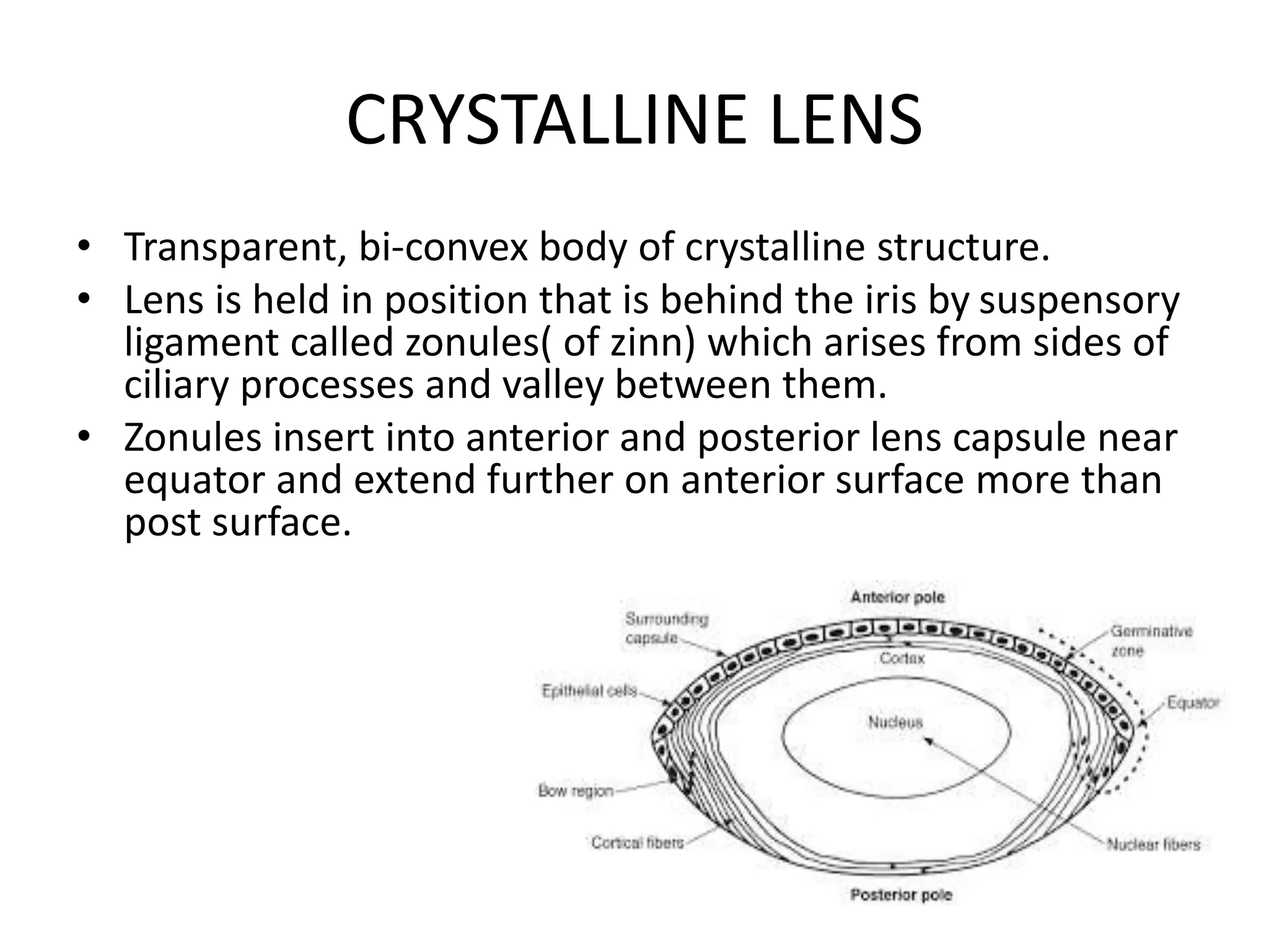 OPHTHALMOLOGY TOPIC ANATOMY OF THE HUMAN EYE.pptx
