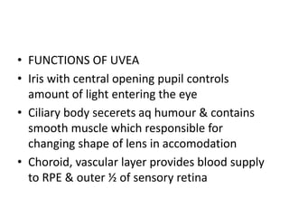 OPHTHALMOLOGY TOPIC ANATOMY OF THE HUMAN EYE.pptx