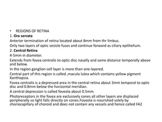 OPHTHALMOLOGY TOPIC ANATOMY OF THE HUMAN EYE.pptx