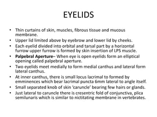 OPHTHALMOLOGY TOPIC ANATOMY OF THE HUMAN EYE.pptx