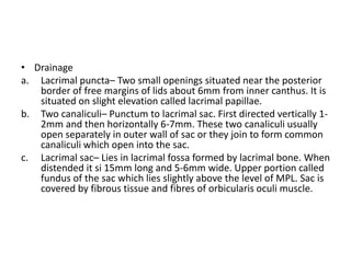 OPHTHALMOLOGY TOPIC ANATOMY OF THE HUMAN EYE.pptx