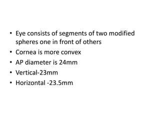 OPHTHALMOLOGY TOPIC ANATOMY OF THE HUMAN EYE.pptx