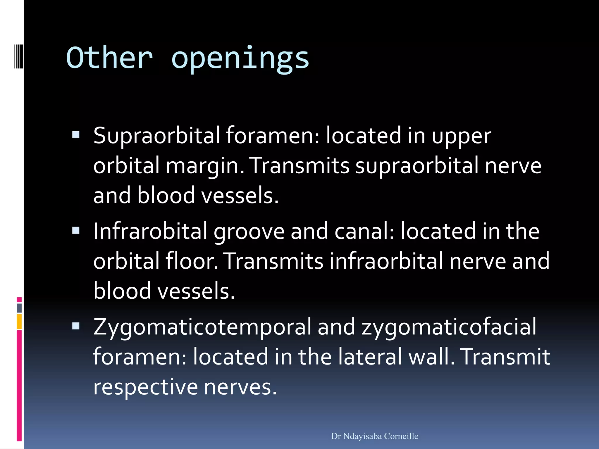 ANATOMY_OF_THE_EYE_AND_ORBITS.ppt