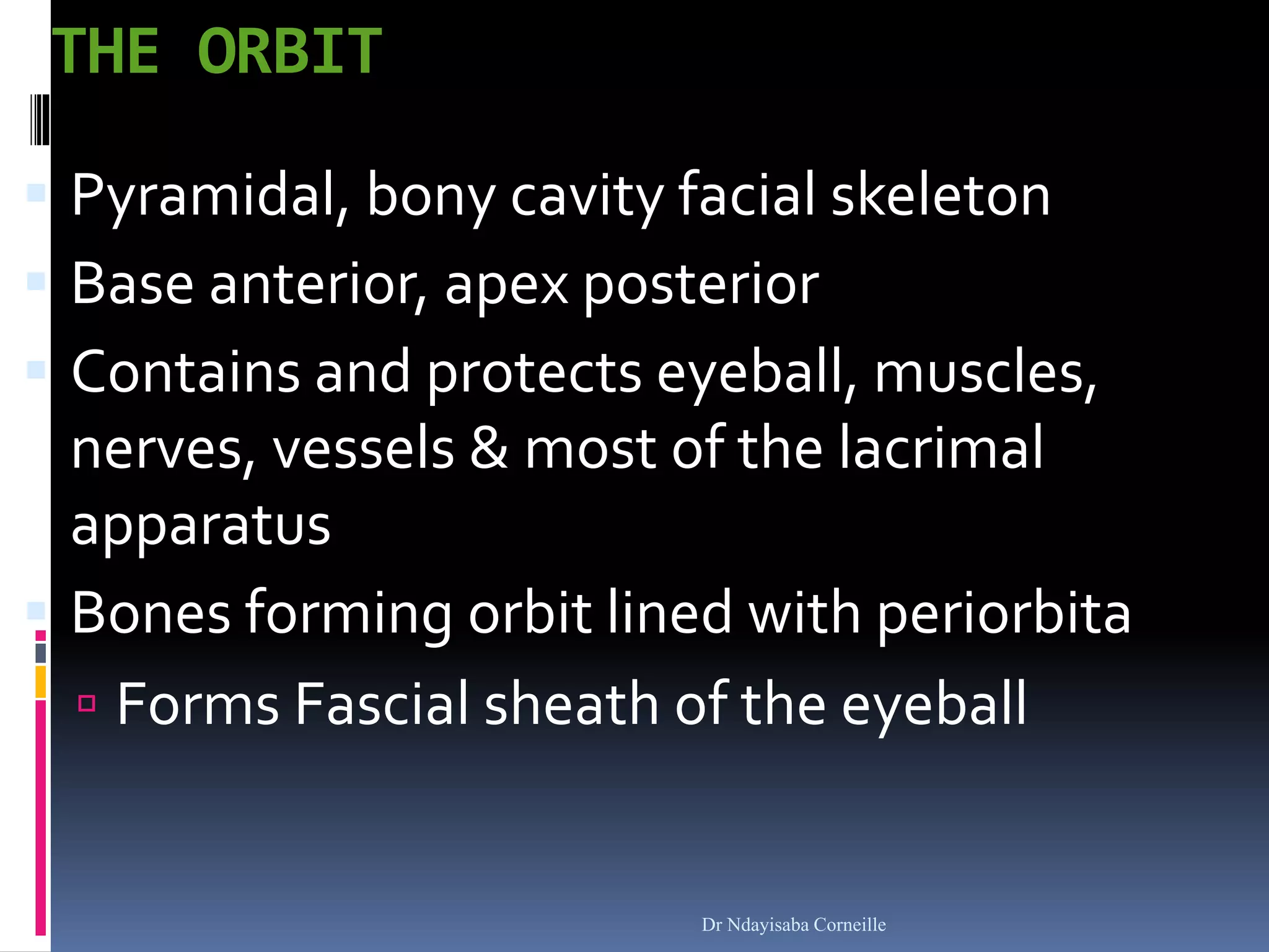 ANATOMY_OF_THE_EYE_AND_ORBITS.ppt