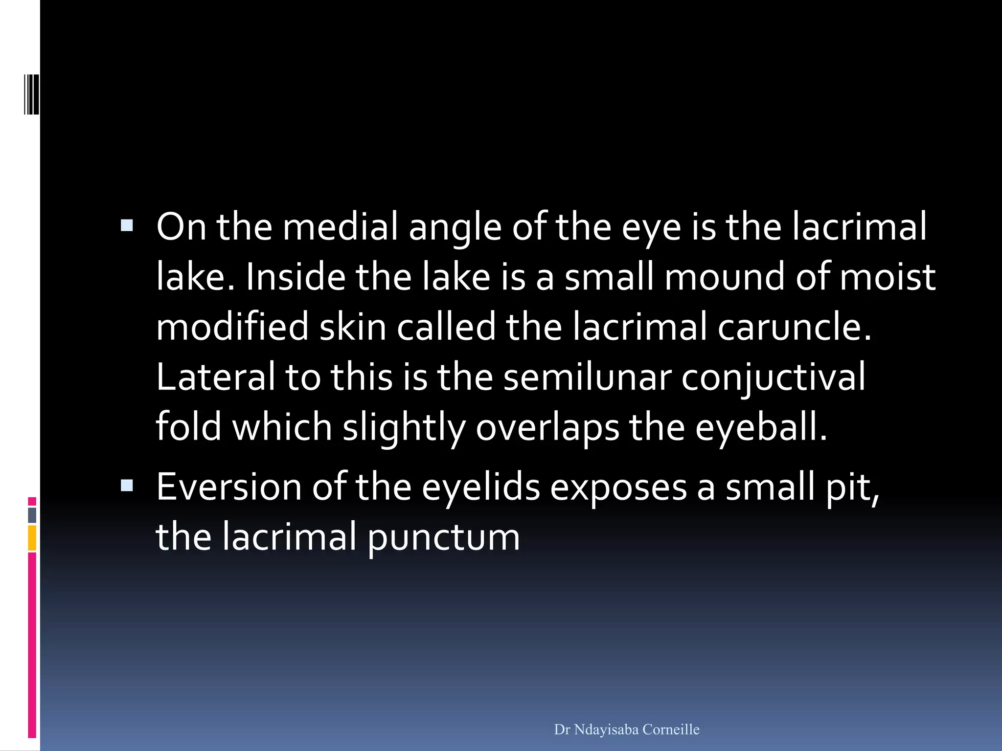 ANATOMY_OF_THE_EYE_AND_ORBITS.ppt
