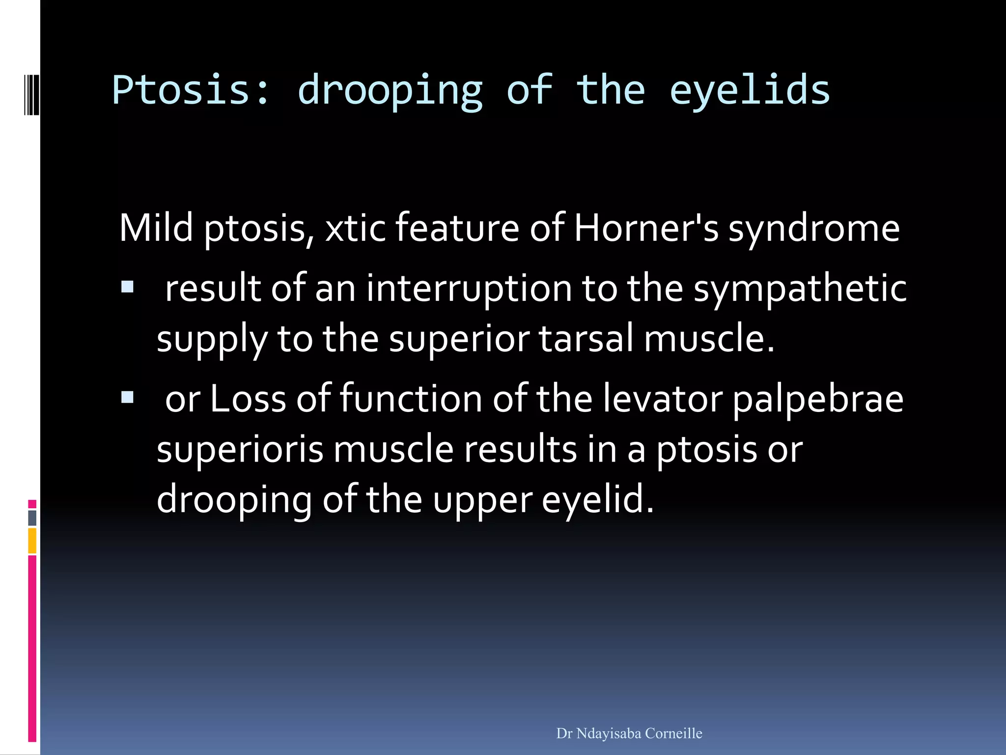 ANATOMY_OF_THE_EYE_AND_ORBITS.ppt