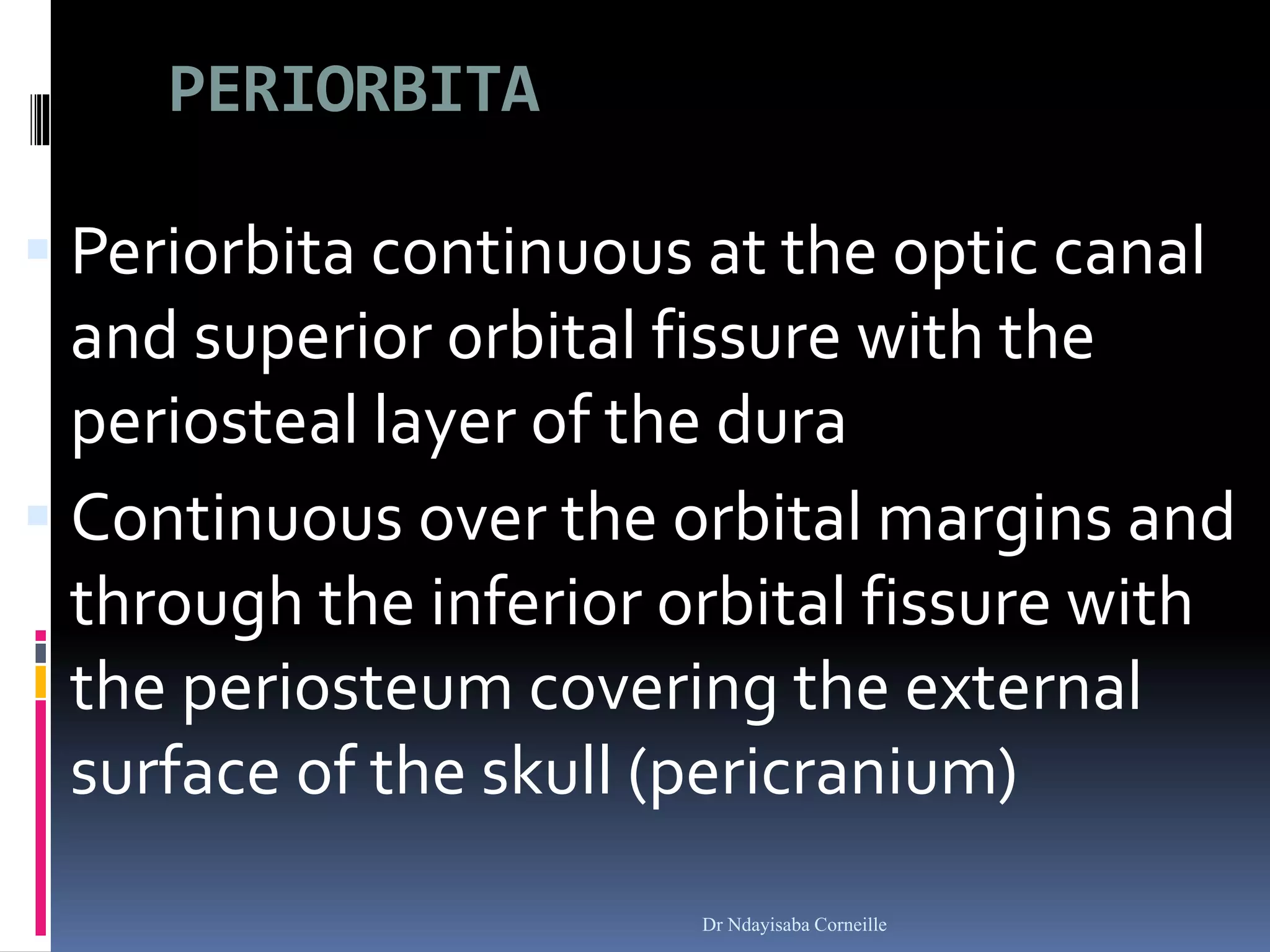 ANATOMY_OF_THE_EYE_AND_ORBITS.ppt