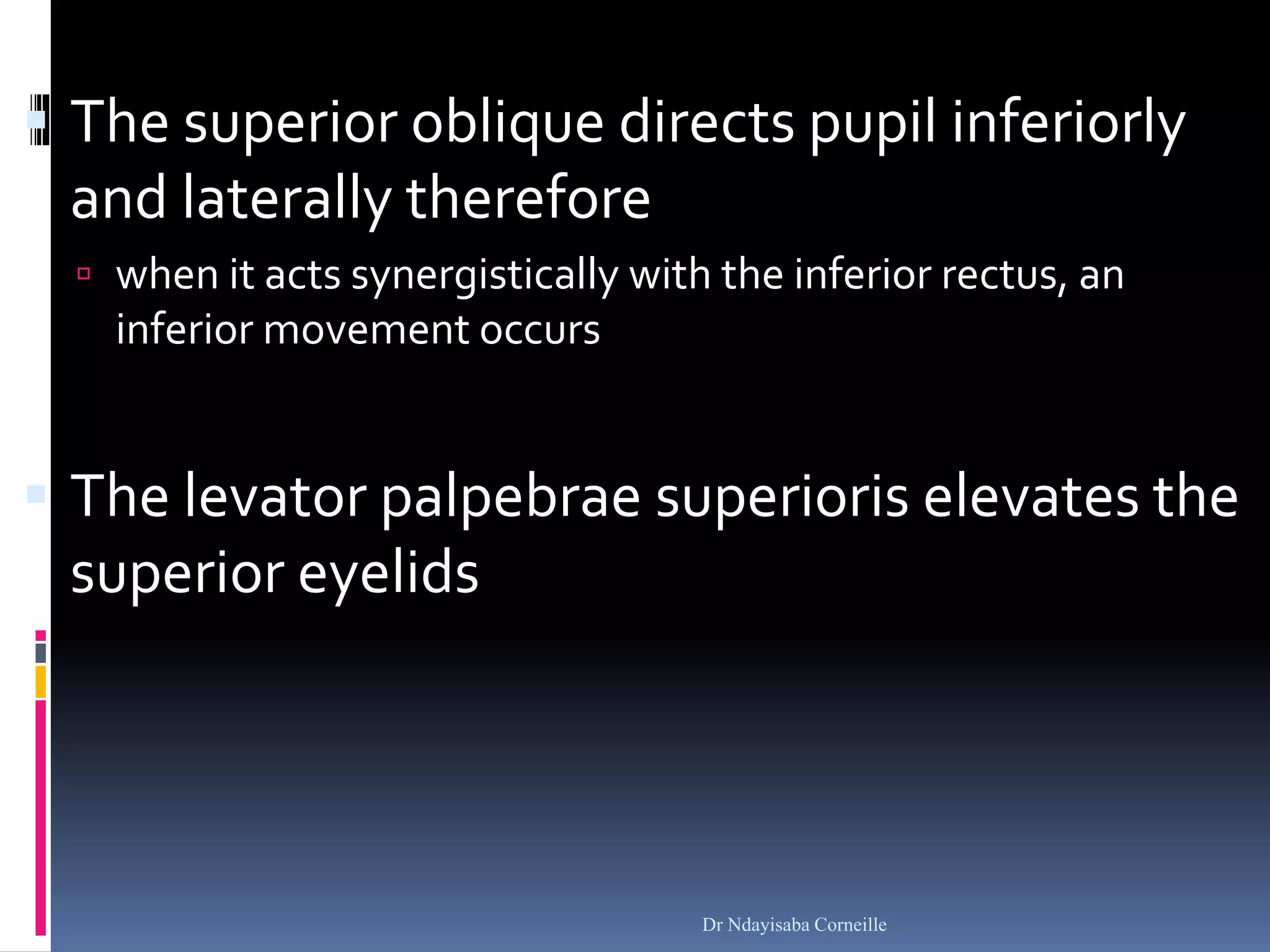 ANATOMY_OF_THE_EYE_AND_ORBITS.ppt