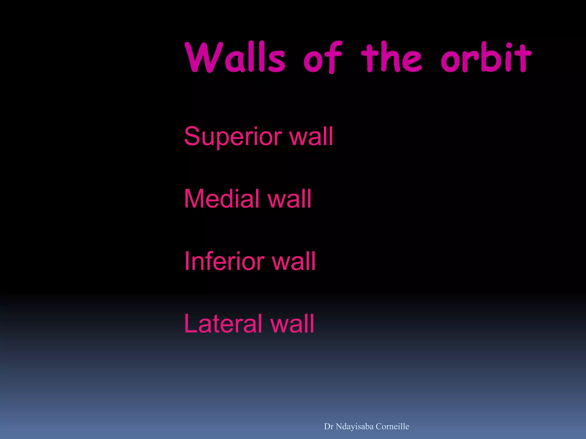 ANATOMY_OF_THE_EYE_AND_ORBITS.ppt