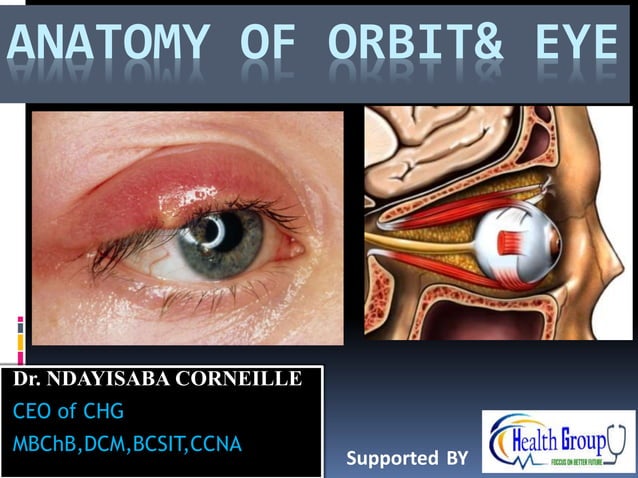 ANATOMY_OF_THE_EYE_AND_ORBITS.ppt
