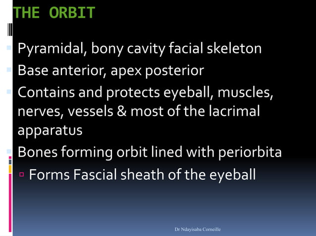 ANATOMY_OF_THE_EYE_AND_ORBITS.ppt