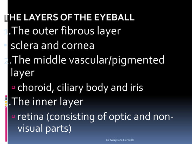 ANATOMY_OF_THE_EYE_AND_ORBITS.ppt