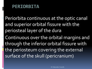 ANATOMY_OF_THE_EYE_AND_ORBITS.ppt