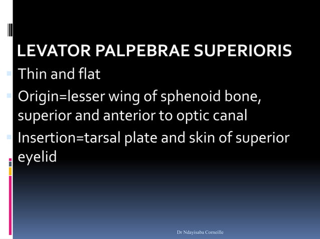 ANATOMY_OF_THE_EYE_AND_ORBITS.ppt