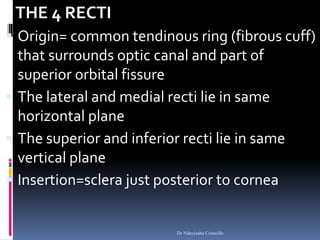 ANATOMY_OF_THE_EYE_AND_ORBITS.ppt