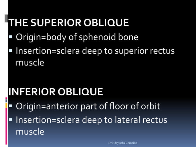 ANATOMY_OF_THE_EYE_AND_ORBITS.ppt