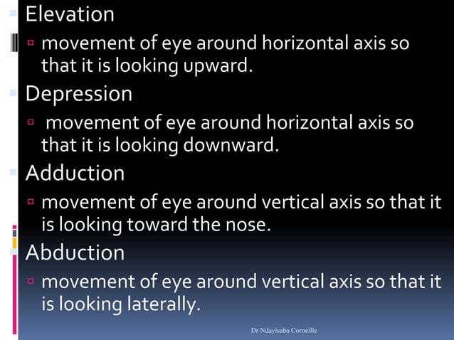 ANATOMY_OF_THE_EYE_AND_ORBITS.ppt