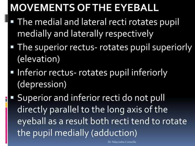 ANATOMY_OF_THE_EYE_AND_ORBITS.ppt