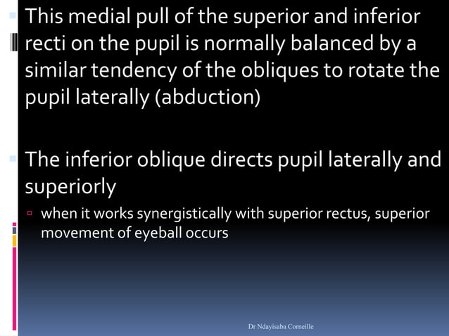 ANATOMY_OF_THE_EYE_AND_ORBITS.ppt