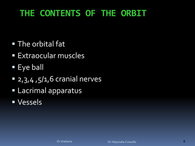 ANATOMY_OF_THE_EYE_AND_ORBITS.ppt