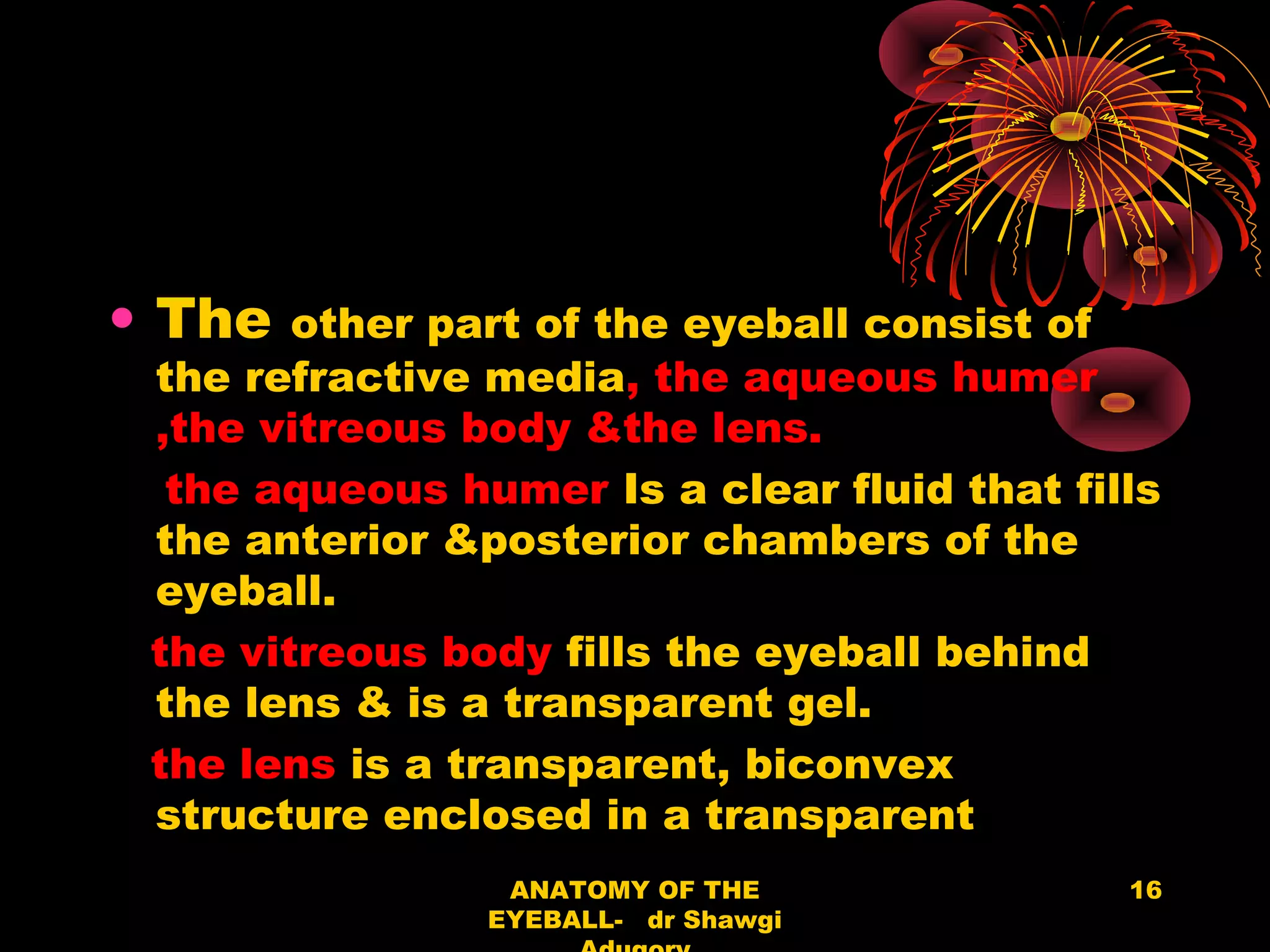 Anatomy of the eyeball - dr Shawgi Adugory | PPT