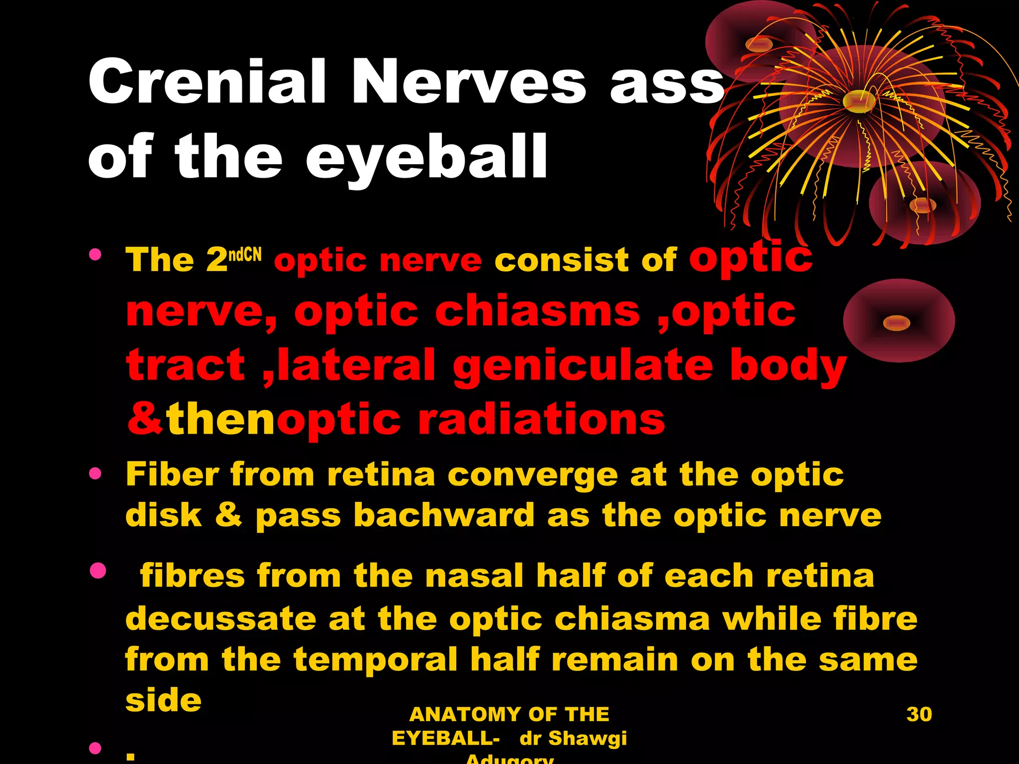 Anatomy of the eyeball - dr Shawgi Adugory | PPT | Eye and Vision ...